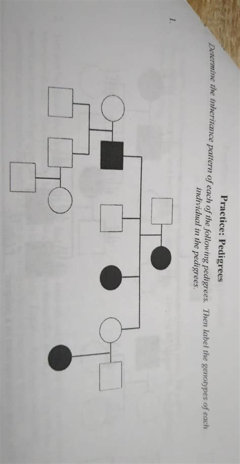 Determine The Inheritance Pattern Of Each Of The Following Pedigrees