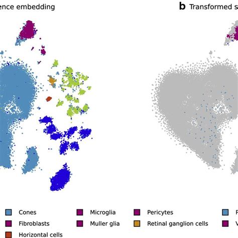 An Embedding Of A Large Reference Of Retinal Cells From Macosko Et Al
