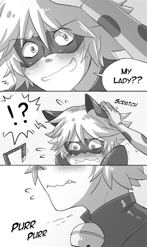 Best Images About MIRACULOUS LADYBUG On Pinterest Cats Bus Ride And Lady