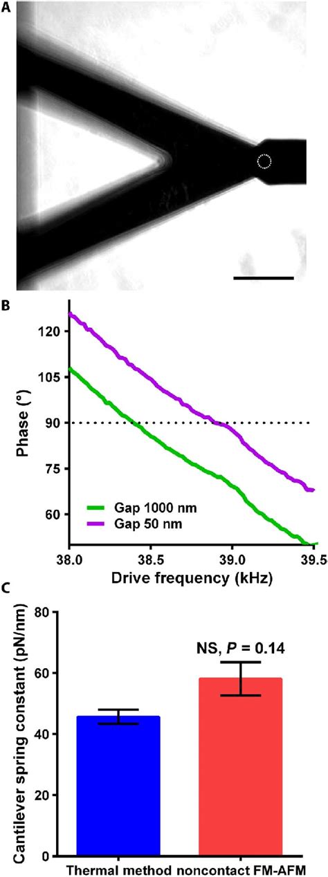Methodology Validation By Determining The Spring Constant Of Afm Download Scientific Diagram