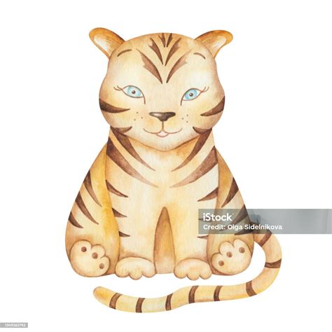 수채화 일러스트 핸드는 흰색에 고립 된 모피에 파란색 눈과 줄무늬와 아기 호랑이를 그린 2022년 새해 상징 0명에 대한 스톡 벡터 아트 및 기타 이미지 Istock
