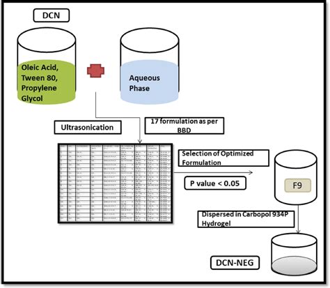 Description Approach Used For Preparation Of The Optimized Formulation