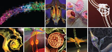 Science Engineering Visualization Challenge Revealed