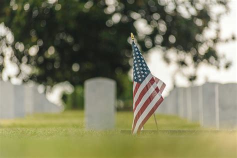 Memorial Day Images Download Free Images On Unsplash