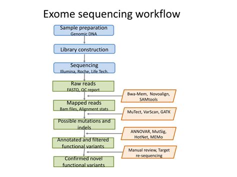 Ppt Exome Sequencing Data Analysis Powerpoint Presentation Free Download Id 523032