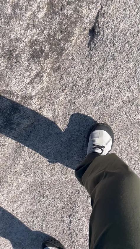 Dailyarchive 님의 게시물 Kream