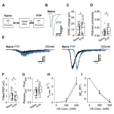 Post Tetanic Potentiation Causes A Decrease In The Fusion Energy Download Scientific Diagram