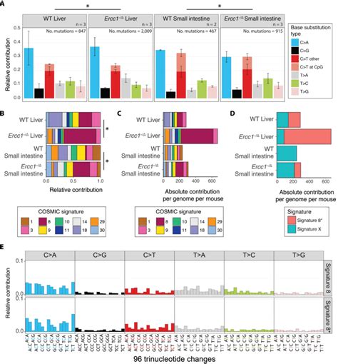Mutational Patterns Of Base Substitutions Acquired In The Genomes Of