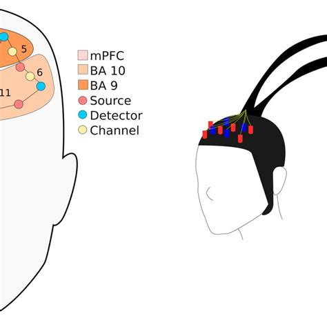 Diagram Of Experimental Stimulus Presentation Orders Download Scientific Diagram