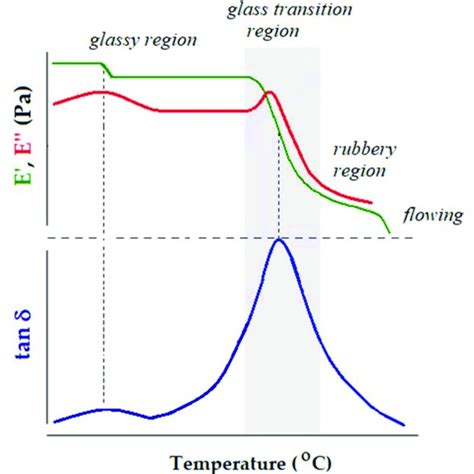 Schematic Representation Of The Viscoelastic Behavior Of A