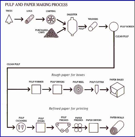 The Diagram Gives Information About The Process Of Making Pulp And Paper