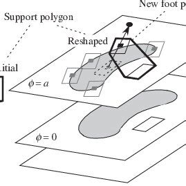 Support Polygon Reshaping Method Download Scientific Diagram