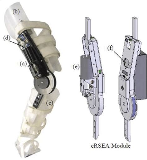 11 Series Elastic Actuator That Used In A Knee Exoskeleton