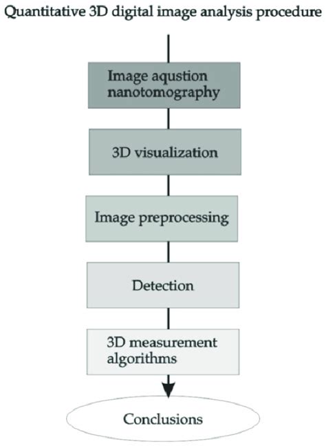 Scheme Of The Procedure For Quantitative Analysis Of Three Dimensional Download Scientific