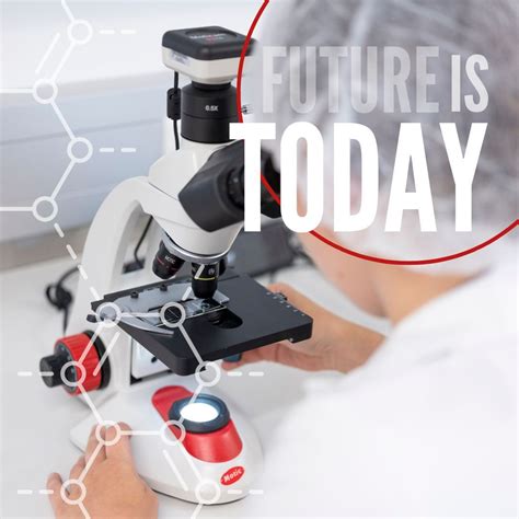 Automated Classification Of Algae Culture Status With Artificial Intelligence Bdi Biolife