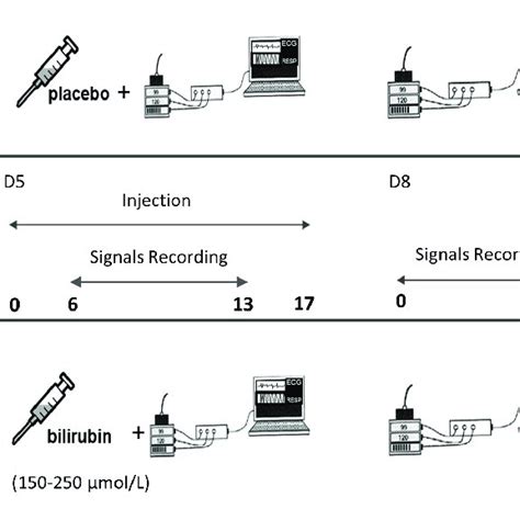Experimental Protocol Download Scientific Diagram