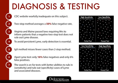 Chronic Lyme Disease Symptoms Causes And Coinfections