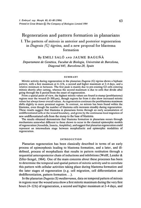 Pdf Regeneration And Pattern Formation In Planarians I The Pattern
