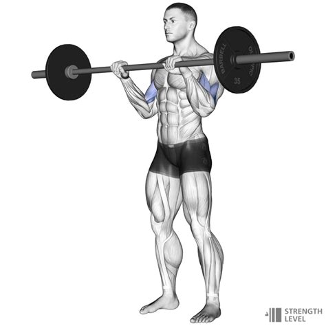 Reverse Barbell Curl