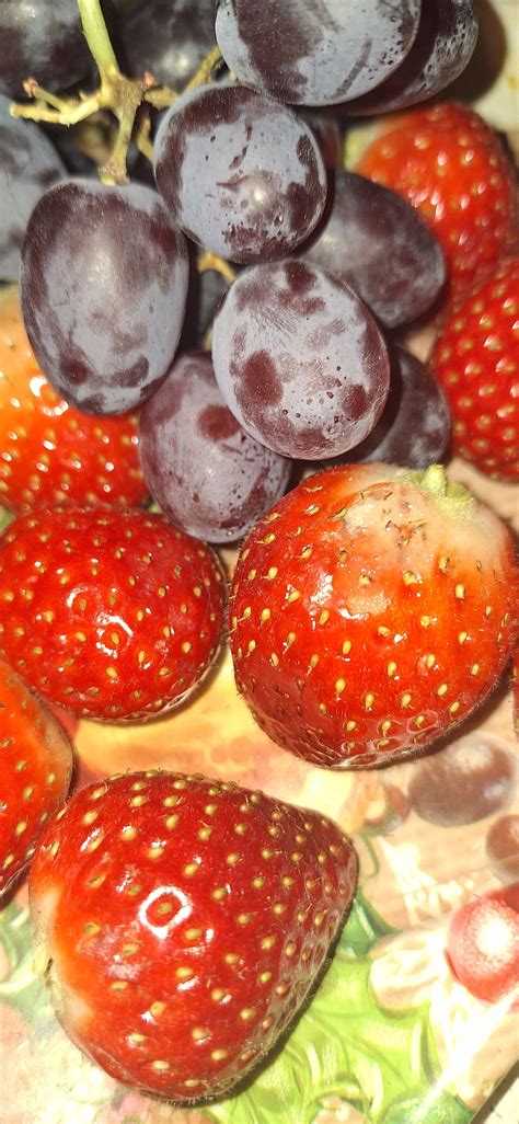 World Geodemo Photography