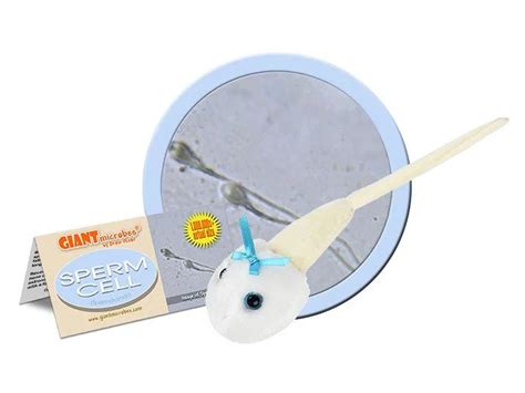 Sperm Cell Giant Microbe Questacon