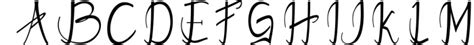 best script font bundle 21 font what font is