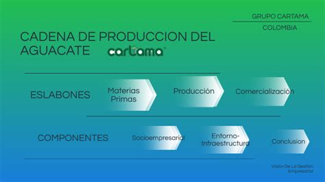 Cadena De Produccion Aguacate Hass By Sebastian Atehortua On Prezi
