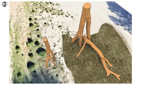 Simplifying A Tree Mesh IAAC Blog