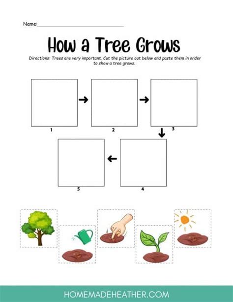 Color The Tree Printable Activity