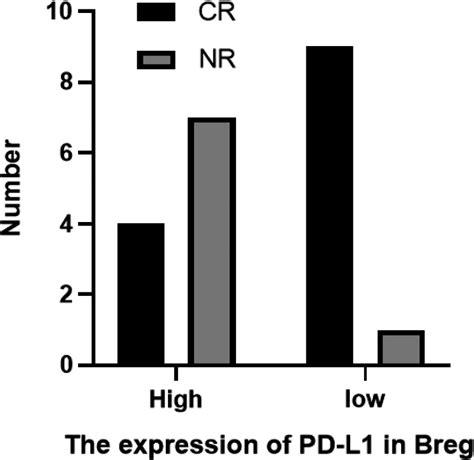 Effect Of Pd‐l1 Expression In Bone Marrow On Prognosis Download Scientific Diagram