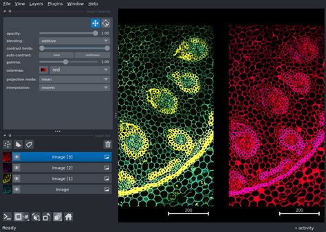 Grid Mode — Napari