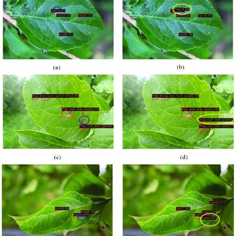 The Flowchart Of The Detection Model Using Faster R Cnn The Result