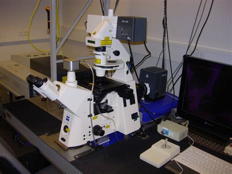 Confocal Laser Scanning Microscopy Zeiss