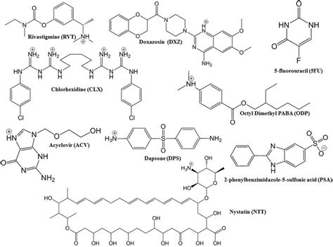 Predominant Structural Forms Of Amine Drugs In Experimental Conditions Download Scientific