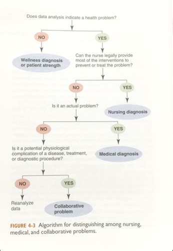 Nursing Collaborative Problems Potential Complications Needs A Team Flashcards Quizlet