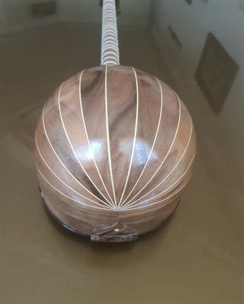 ‎سه تار ایمان شگرفی‎ Setar Shegarfi • Instagram Photos And Videos