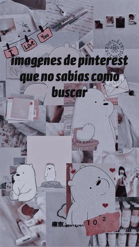 Imagenes De Pinterest Que No Sabias Como Buscar