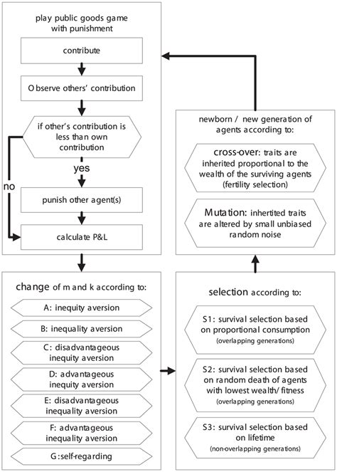 Schematic Depiction Of The Evolutionary Model Flow Including