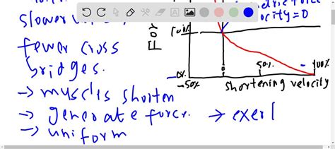 Solved Draw A Graph Of The Force Shortening Velocity Relationship Of