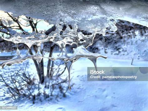 이상한 모양의 고드름과 눈이 숲 지역 추운 겨울 오후에 나무 가지에 매달려 스톡 사진 0명에 대한 스톡 사진 및 기타 이미지
