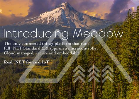 Let The Revolution Begin Introducing Meadow Blog Wildernesslabs Co