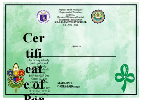 Joint Bsp Gsp Certificate Of Participation Pdf