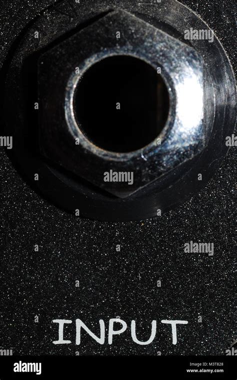 Music Amplifier Input Connector Stock Photo Alamy