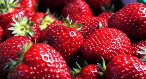 52 Kg Luleshtrydhe Me Pesticide Nga Greqia