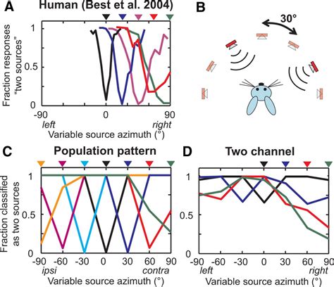Decoding Sound Source Location And Separation Using Neural Population Activity Patterns