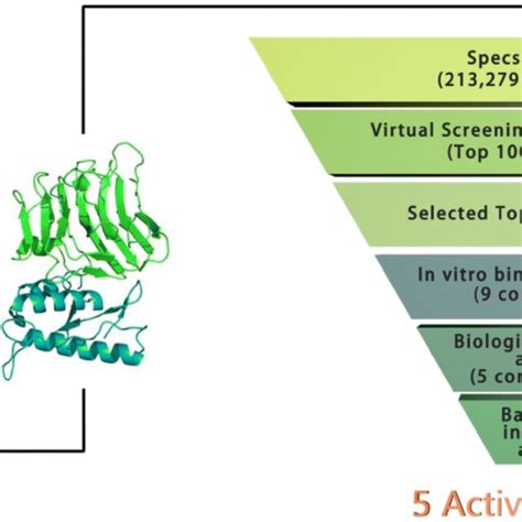 Structure Based Drug Discovery Workflow Download Scientific Diagram