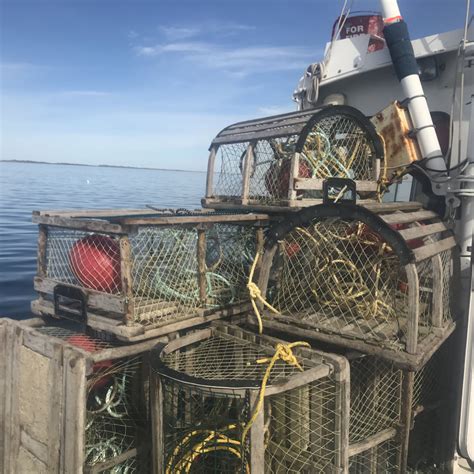 Photos Kathleen Macgregor