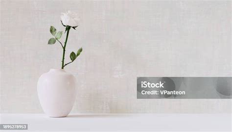 꽃병 꽃 최소한의 현대적인 배경 3d 렌더링 가정 장식 빈 방 봄 휴일 템플릿 개념 0명에 대한 스톡 사진 및 기타 이미지 0명 광학 작용 그림자 Istock