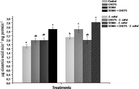 PAL Enzyme Activity In Peanut Plants Inoculated With Bacillus Sp CHEP5 Download Scientific