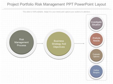 Project Portfolio Risk Management Ppt Powerpoint Layout